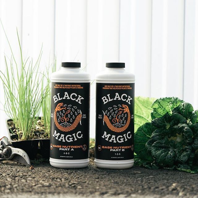 The Feed - Black Magic